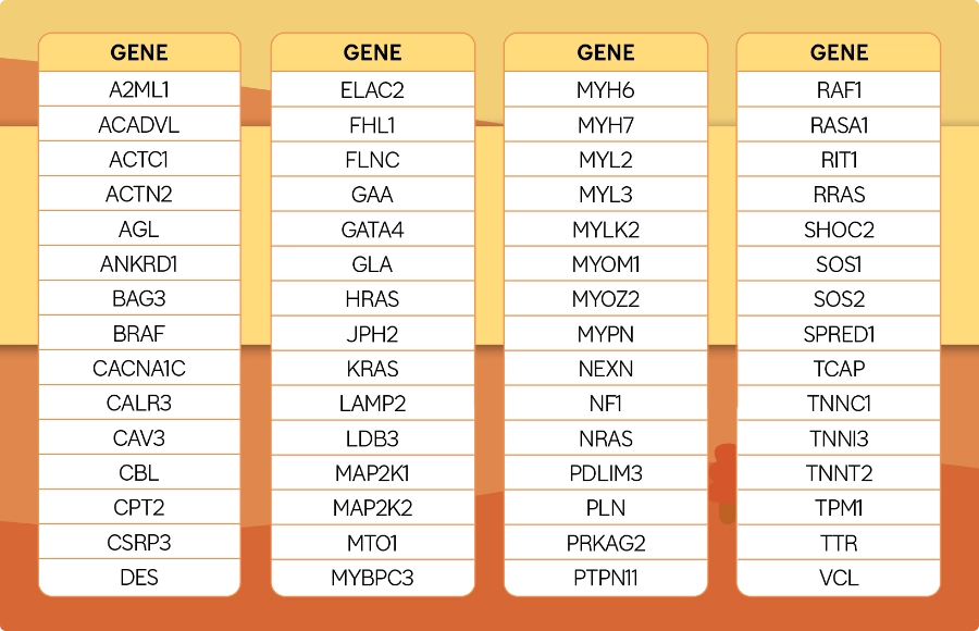 Hypertrophic Cardiomyopathy Panel